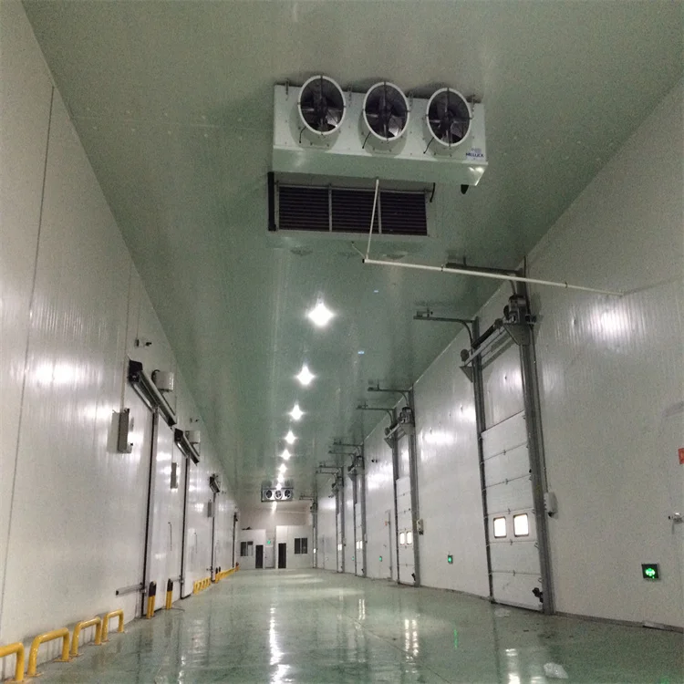 Modular 120mm Cold Room Freezer For Home Use For Food Shop & Retail ...