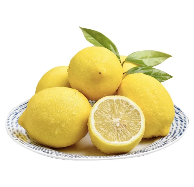 Wholesale Price Lemon Fresh Fruit Fresh Lemon For Sale Yellow Lemons ...