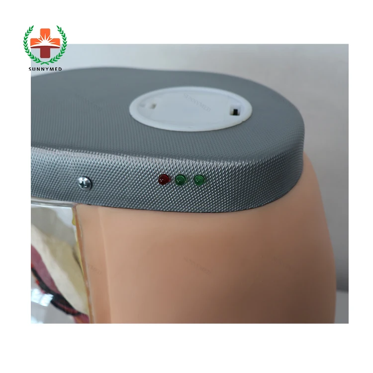 SY-N08701 Advanced Hip Intramuscular Buttock Injection and Transparent ...