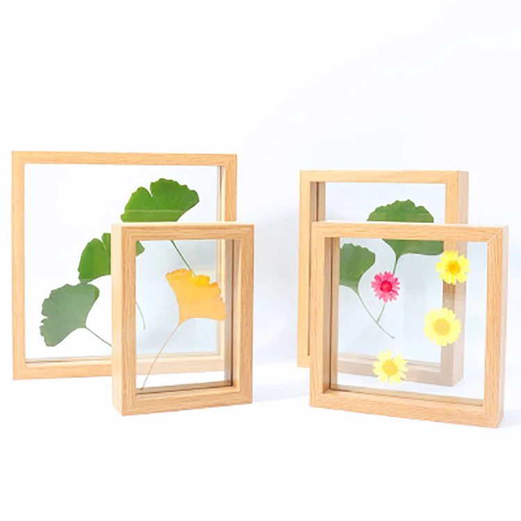 Wholesale Plant Dried Flower Leaf Specimen Frame - A4 DIY