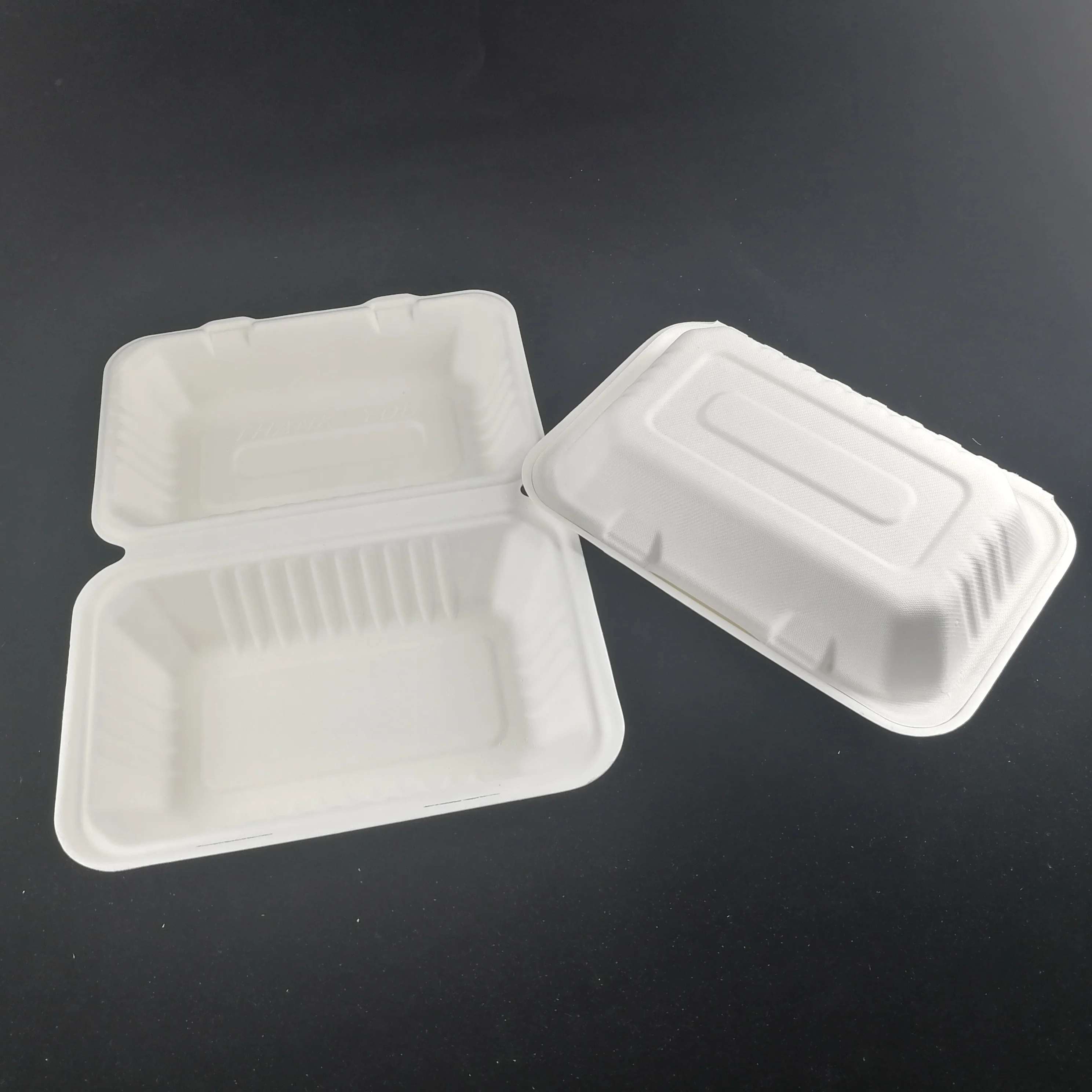 Take Away Biodegradable Packaging Disposable Food Packaging Container ...