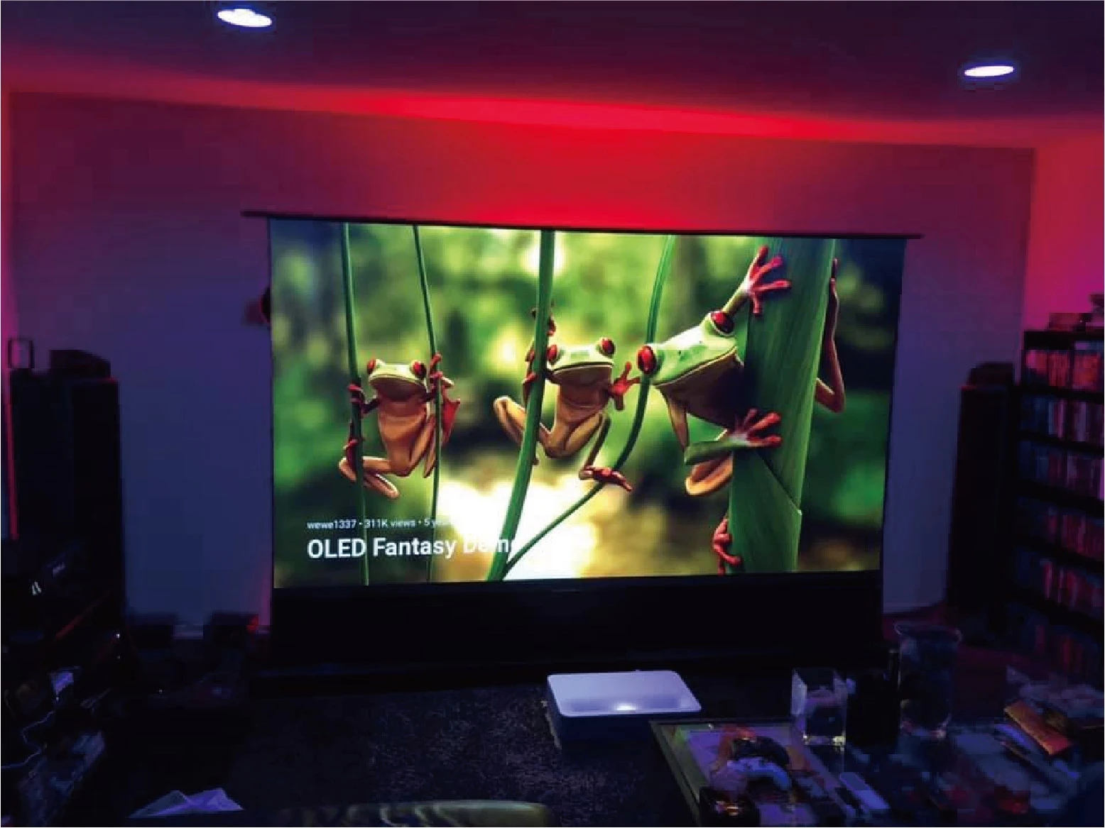 Vividstorm S Pro P 120 Inch Sound Acoustic Transparent Electric Tension ...