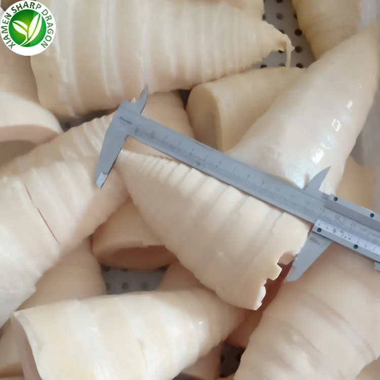 Wholesale Line Export Whole Slices Vegetables Canned Bamboo Shoots Strip