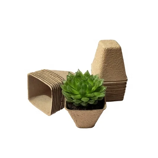 Plant Nursery Seeding Tray Paper Pulp Seedling Cup Biodegradable Flower ...