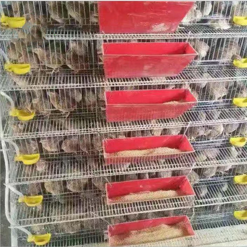 Durable Plastic Quail Bird Feeder Trough - Automatic Feeder