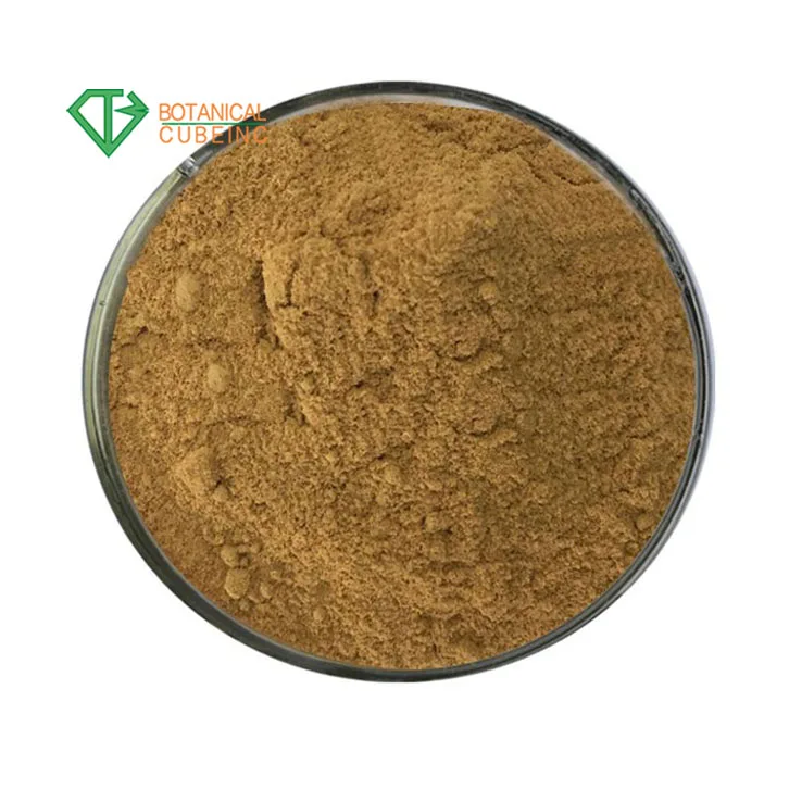 For Female Health Beauty Usage Kacip Fatimah Labisia Pumila Kacip ...