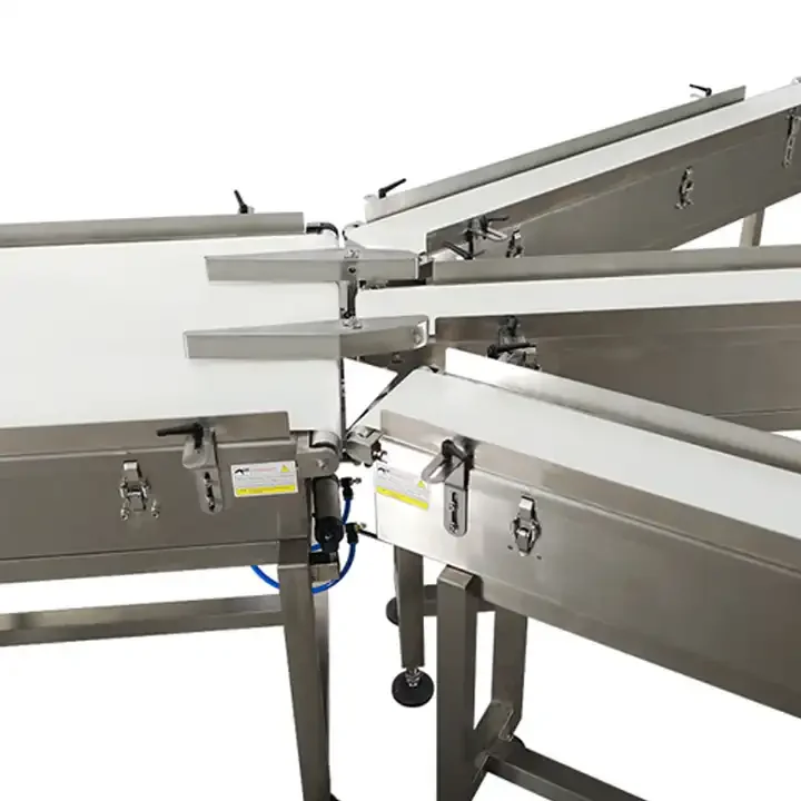 Automatic Weighing Machine Conveyor Belt Dynamic Checkweigh Food ...