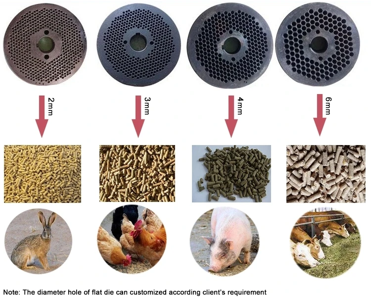 Sorghum Pellets - Efficient Feed for Poultry & Livestock