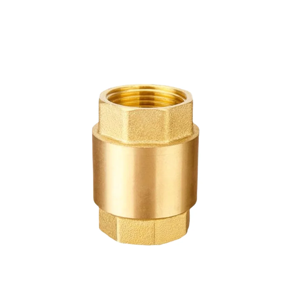 Brass Spring Vertical Check Valve 1/2 Pipe Thread Water Pump Essential ...