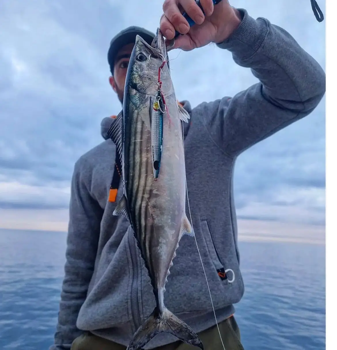 Stainless Steel Fishing Accessories For Fish Control Fishing Lip Grips ...