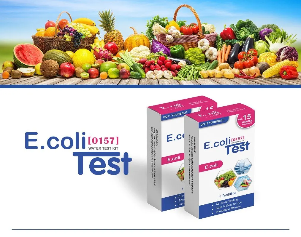 Rapid Testing Of Escherichia Coli Water Quality Bacteria And Microorganisms Colloidal Gold