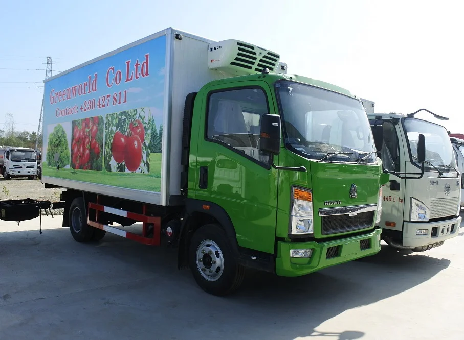 SINOTRUK Mini Freezer Truck Small Refrigerated Truck Light Frozen ...