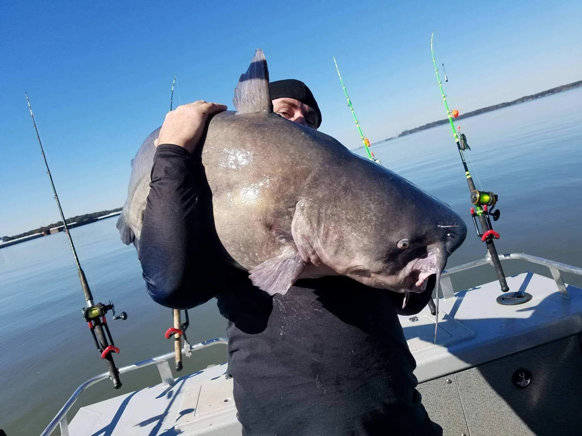 Tomyo 12ft 2sections Big Catfish Boat Fishing Rods for Long Casting