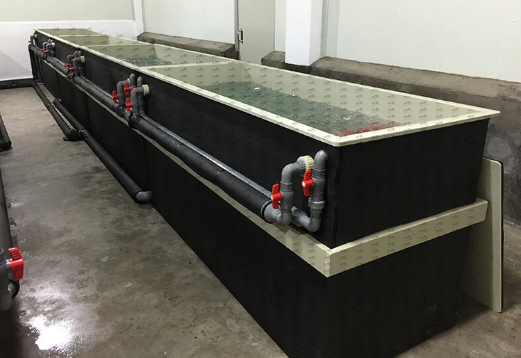 High Density Industrial Aquaculture Fish Feeding System Indoor Lobster ...