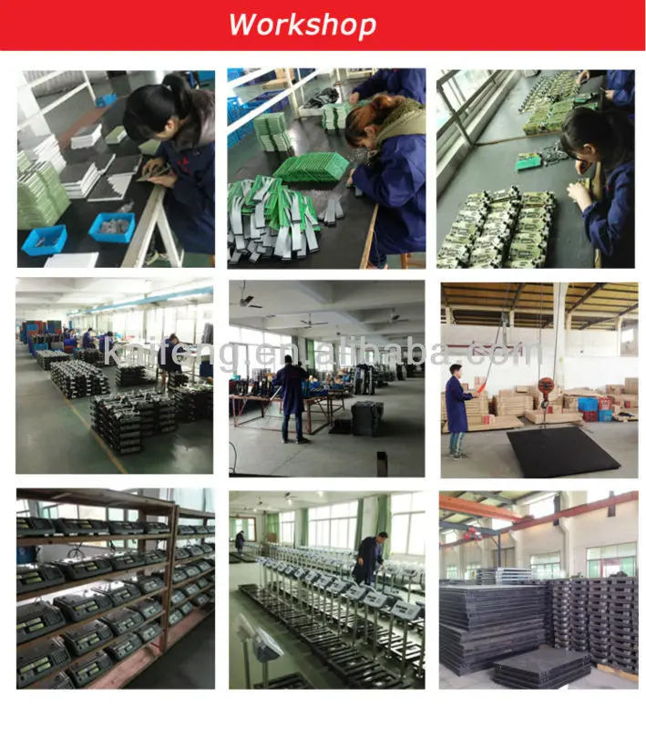 Tcs-a4 Tcs Series Of Electronic Platform Scale With Back Rail From ...