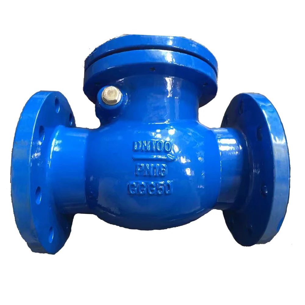 DN100 Swing Check Valve - Ductile Iron Body & Metal Seat