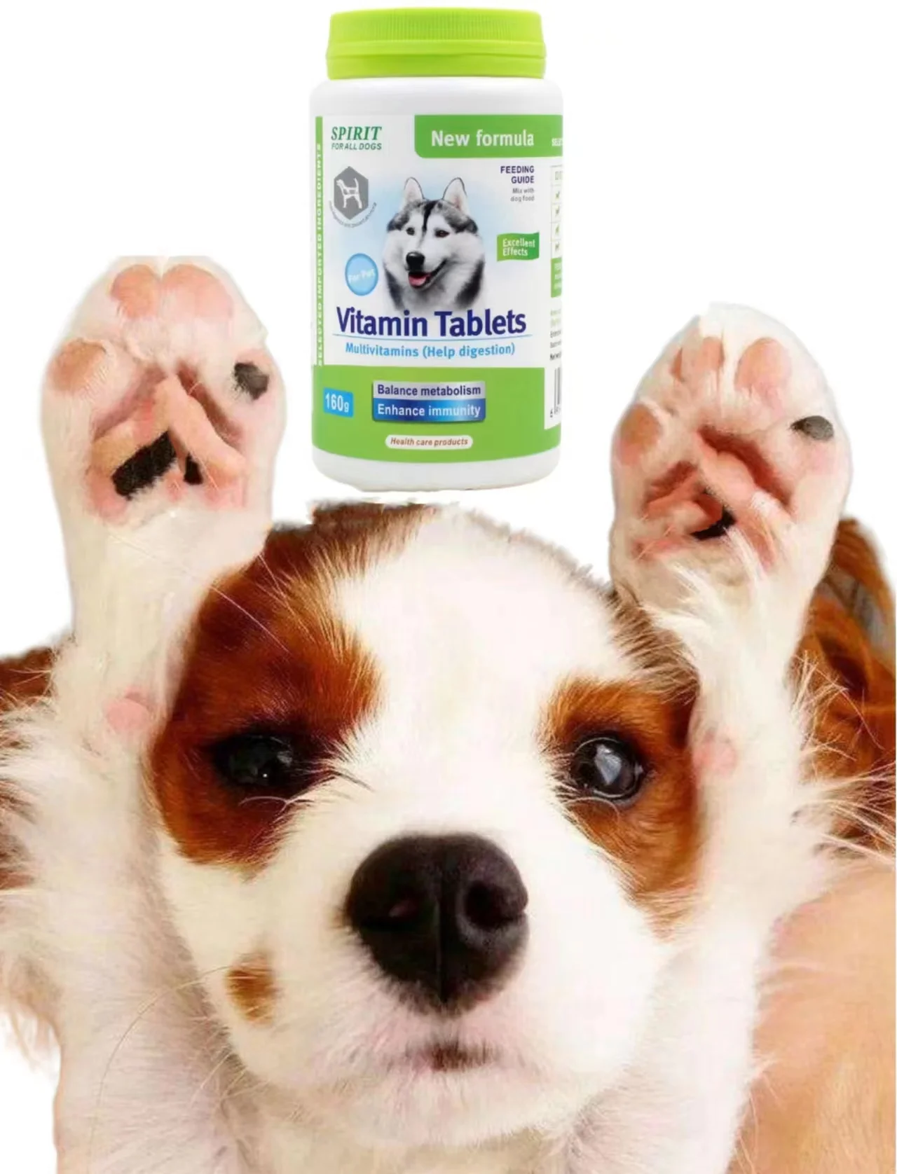 Wholesale Natural Healthy Seaweed Flavor Omega-3 Omega-6 Dog Vitamins Supplements Chew Vitamins ...