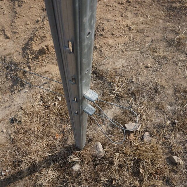 U Shaped Grape Trellis Posts Vineyard Trellis Stake Steel Posts For ...