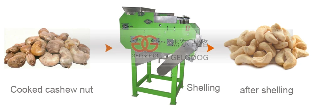 Automatic Cashew Nut Shelling Machine Cashew Nuts Cracking Machine ...
