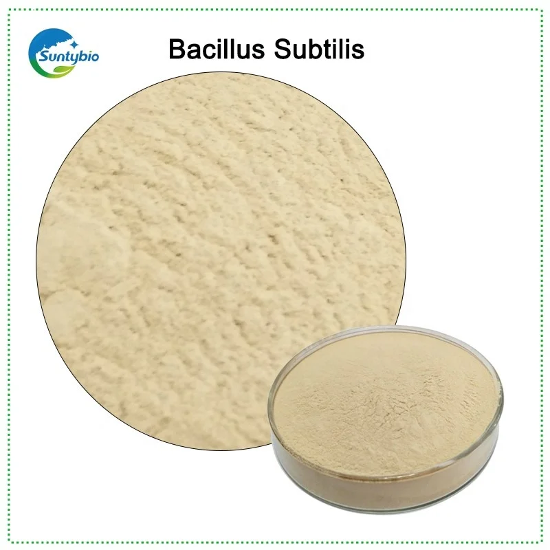 High Quality Probiotics Bacillus Subtilis 500 Billion Cfu/g For Fish ...