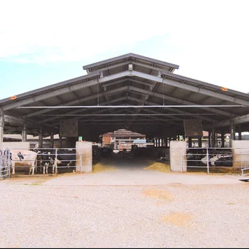 Design Building Steel Structure Cow House Cattle Shed Farm - Buy Steel ...