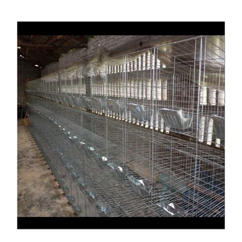 Poultry Farm Welded Wire Mesh Rabbit Cage - Buy Commercial Rabbit Cages ...