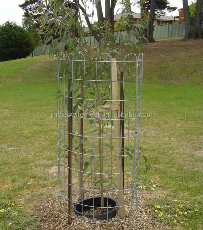 Weld Mesh Tree Guard - Buy Weld Mesh Tree Guard,Good Price Weld Mesh ...