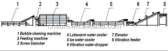 Iqf Frozen Spinach Leaf/fries/chips/carrot/ Cauliflower/chicory/cabbage ...