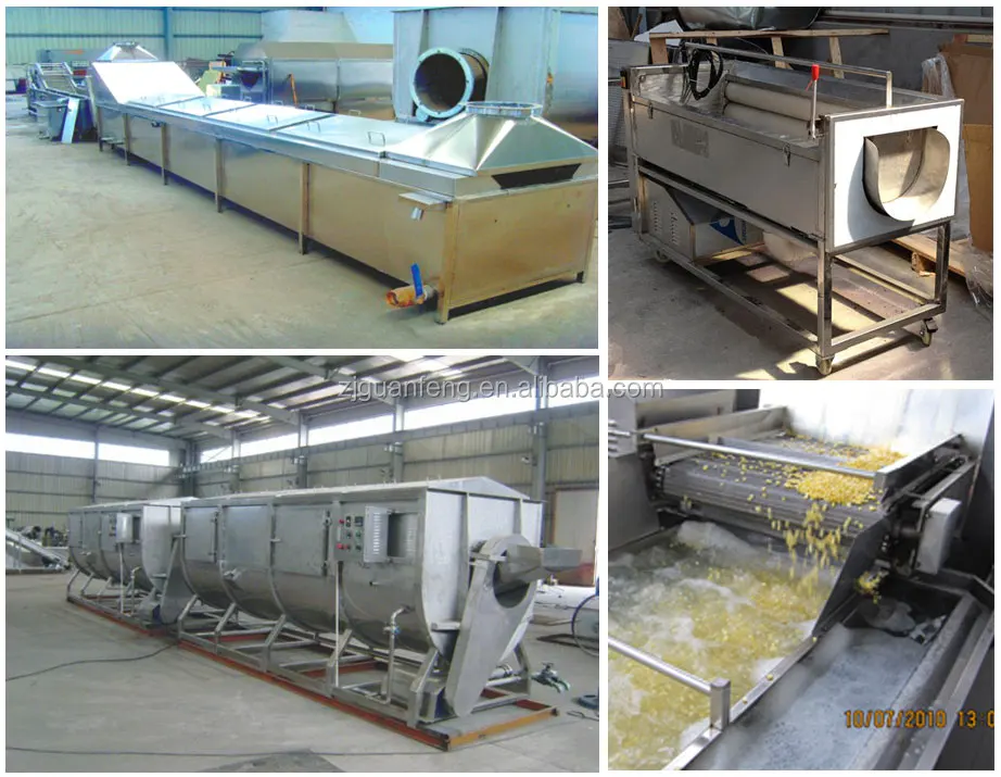 Custom Design Fruit And Vegetable Drying Processing Line Machines - Buy ...