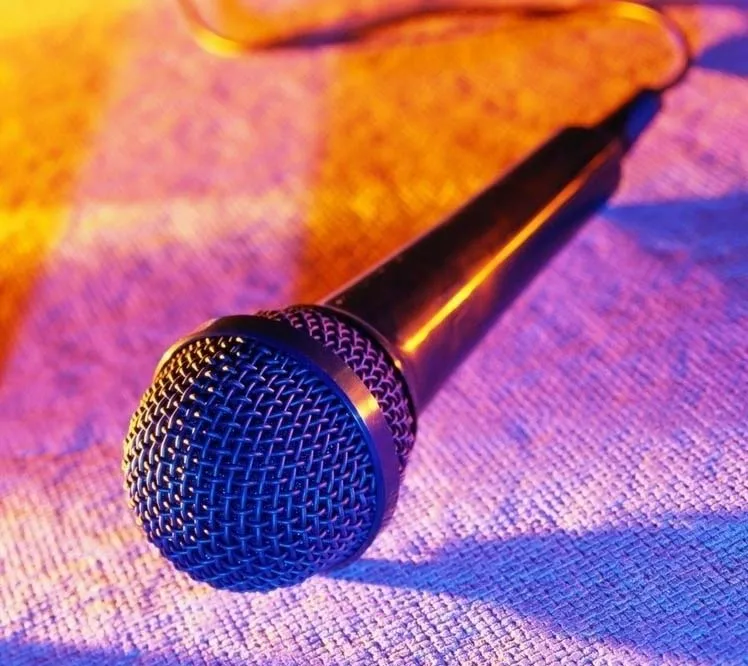 Stainless Steel Fabric Speaker Grill /metal Microphone Mesh Factory ...