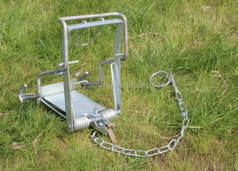 Powerful Trap Raccoon Leg Hold Coil Spring Trap - Buy Coil Spring Trap ...