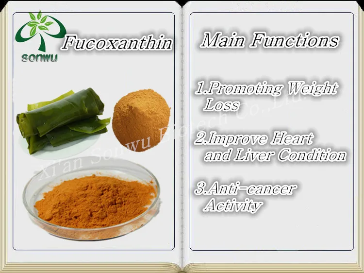 Extract Fucoxanthin/fucoxanthin Powder/fucoxanthin Supplement - Buy ...