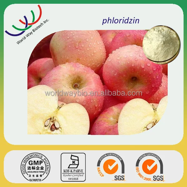 2017 New Best Anti-aging Nutrients Phlorizin Powder,Apple Root Bark ...