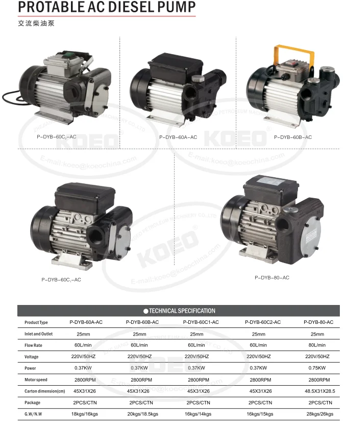 AC 220V Electric Oil Pump - Efficient Transfer Solutions