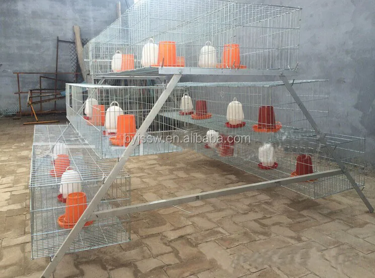 Poultry Baby Cage /chicken Chick Cage - Buy Baby Poultry Cages For ...
