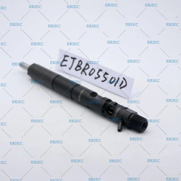Erikc Ejbr05501d Fuel Injector Manufacture 338004x450 Ejb R05501d ...