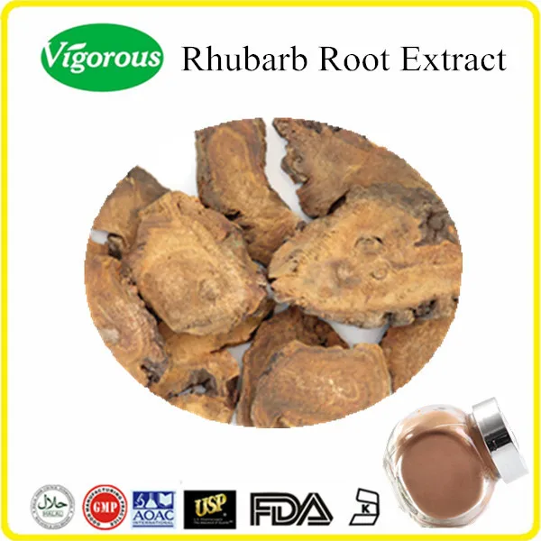Free Sample Rhubarb Root Extract/rhubarb Root Extract Powder/rheum ...