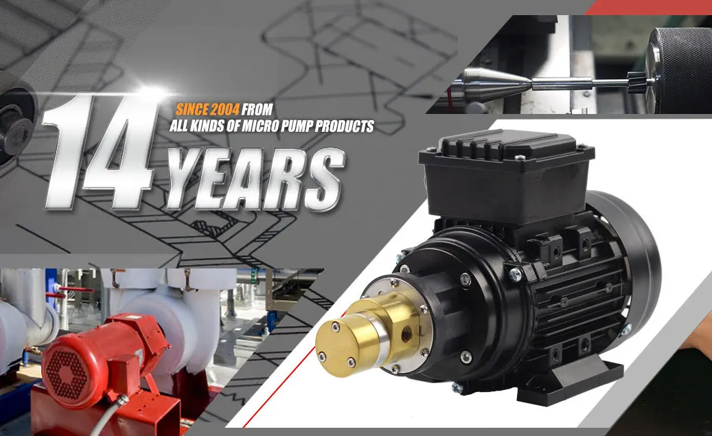 Cheap 24v Dc Electric Micro Small Oil Transfer Gear Pump Adjustable ...