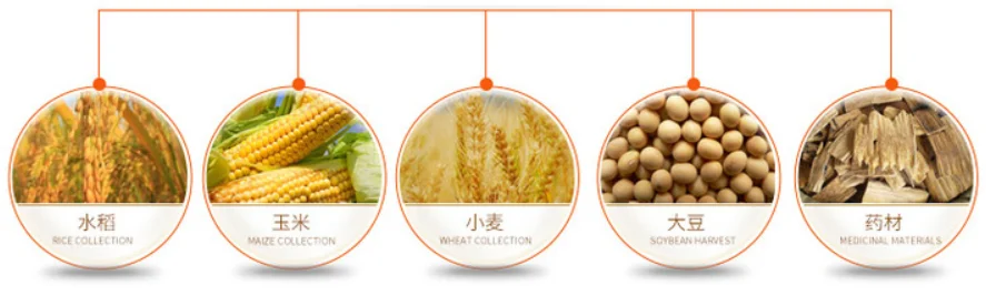 Rice Paddy Collecting Machine - High Productivity & Durability