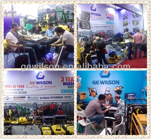 Ball Type/pin Type/dynapac Coupling Concrete Vibrator with EY20 Engine