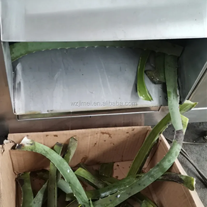Aloe Vera Gel Making Aloe Vera Peeler/automatic Aloe Peeling Machine ...