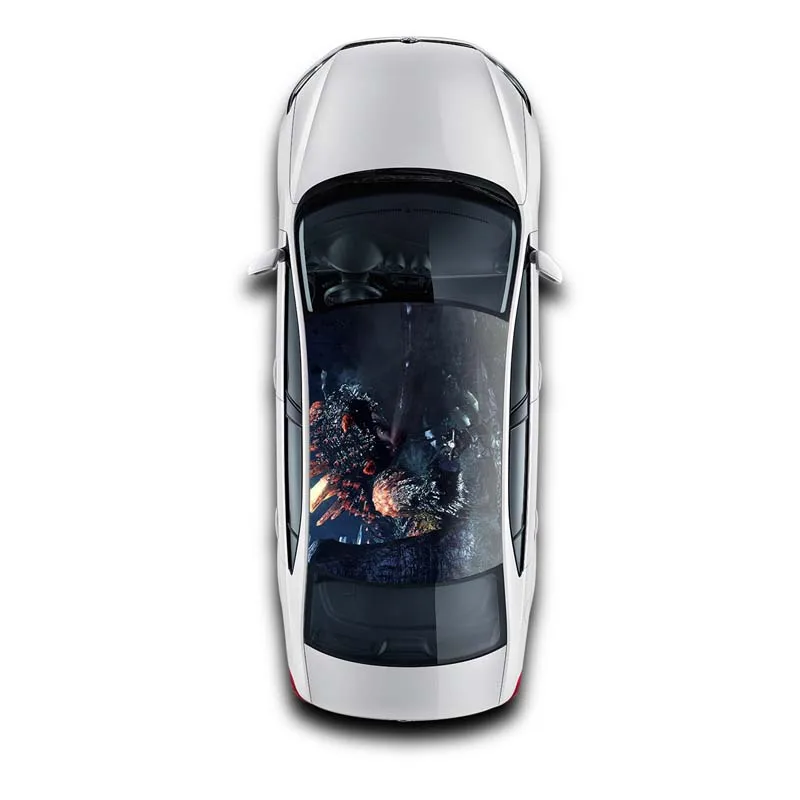 Car Roof Vinyl Wrap Stickers at Thomas Lawson blog