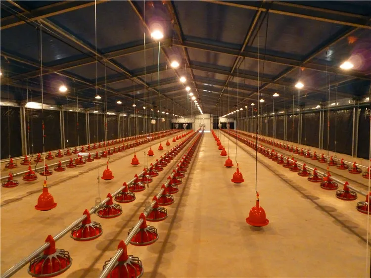 Steel Structure Hennery/poultry House/henhouse/chicken Farm Design And ...