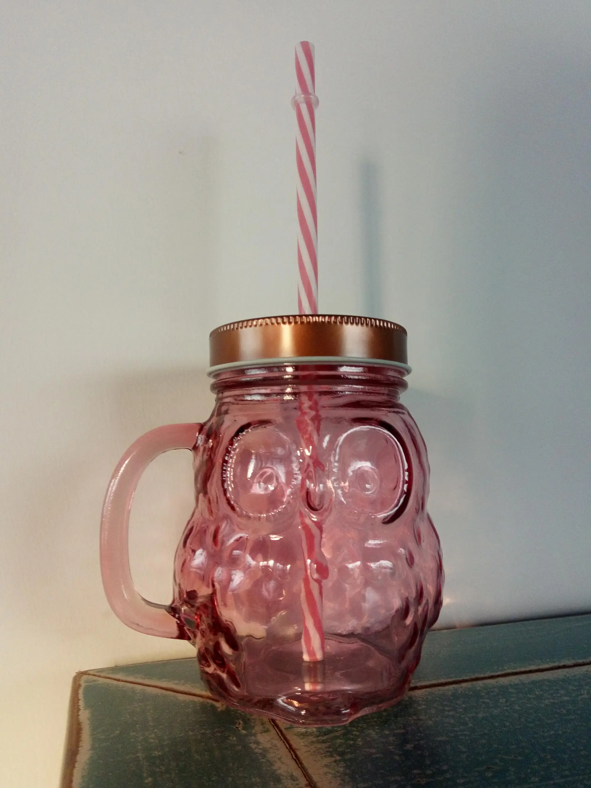 Fashionable Owl Shaped Glass Mason Jar With Lids And Straws - Buy Owl ...