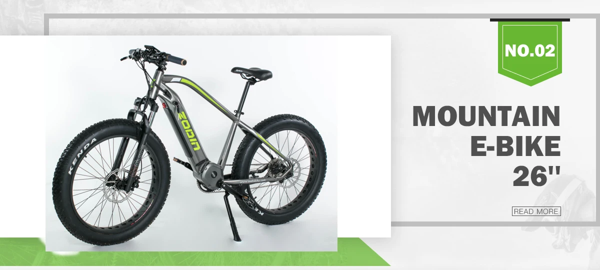 Jinhua Zodin E-Vehicle Co., Ltd. - Electric Bike