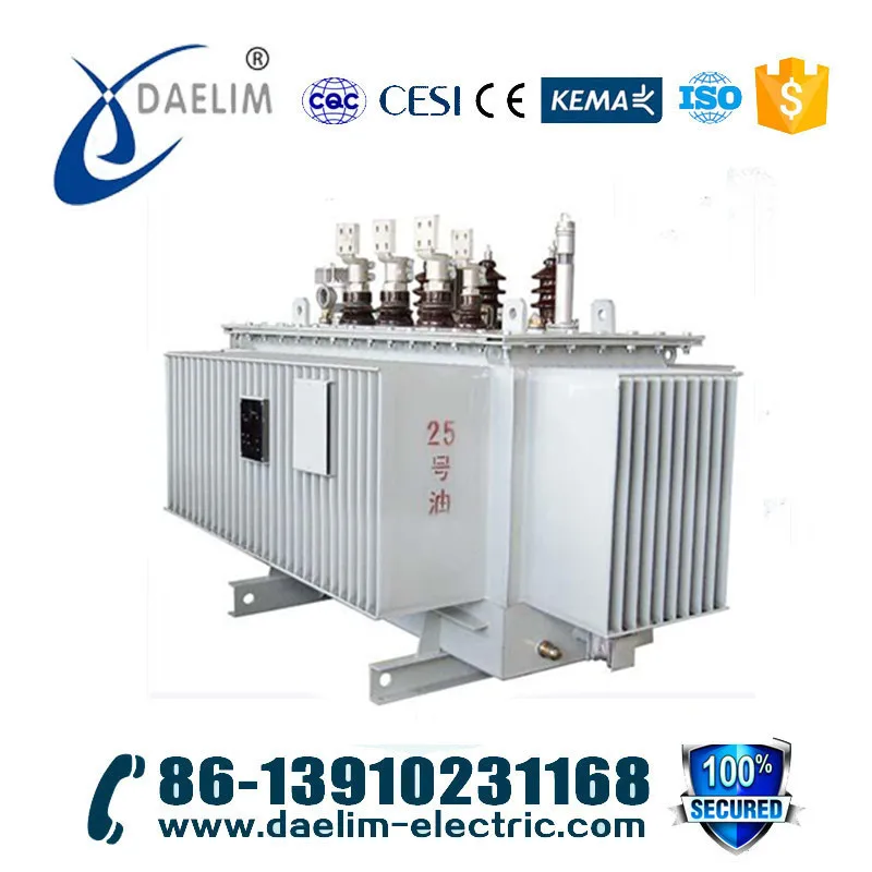 Power Plant Transformer