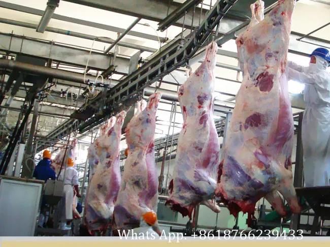 Cattle Slaughter Equipment - Efficient Halal Line Solutions