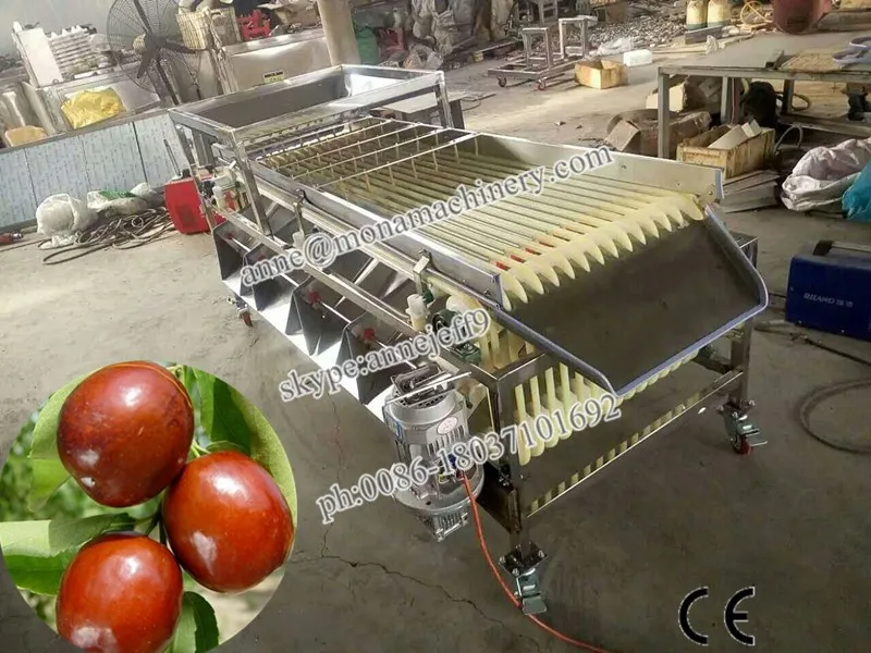 Fruit Vegetable Sorter Potato Tomato Grading Production Line Dates ...