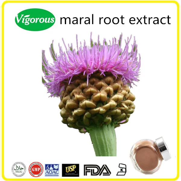 China Manufacturer Maral Root Extract Powder,Rhaponticum Carthamoides ...