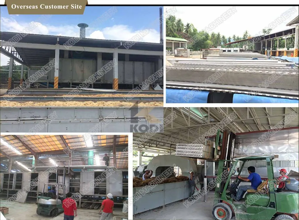 Kodi Continous Seaweed Processing Machine Equipment - Buy Seaweed ...